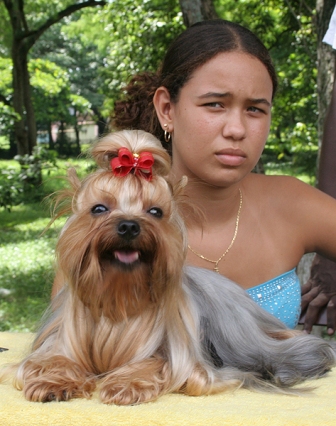 Dogs in Cuba - Havana Times