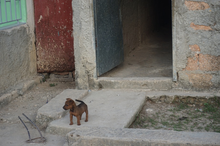 Una visita a Bejucal, Villa de sorpresas y tradiciones - Últimas ...